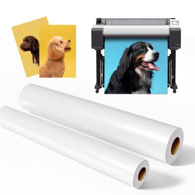 China Microporous RC Luster Photo Paper Roll 260gsm for Epson Large Format Printers for sale