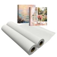 China Acid Free 280gsm Matte Polyester Canvas Roll for Eco-Solvent Latex and UV Printers with Multiple Sizes and Free Samples for sale