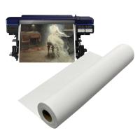 China 280gsm Matte Waterproof Polyester Canvas Rolls for High-Resolution Inkjet Art Printing for sale