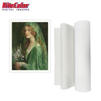 China 380gsm Matte PolyCotton Canvas Roll for UV Printing with Matte Surface and Wide Format Inkjet Compatibility for sale