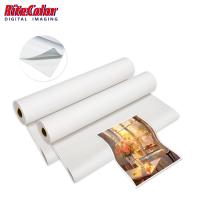 China 350gsm Matte Waterproof Self-Adhesive Canvas for High-Resolution Wall Art and Interior Decoration for sale
