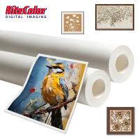 China 100% Cotton Acid-Free 320gsm Fine Art Etching Paper for Gallery and Exhibition Prints for sale