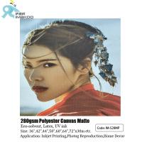 China 280gsm Polyester Canvas Rolls Printable Matte 50