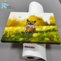 China 280gsm Polyester Canvas Rolls Printable Matte 50