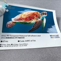 China Inkjet Printable Label Stiker Paper A4 A3 Rolls Self Adhesive Transparent PET Film Label Material For Cosmetics Pharmaceutical Food Industrial for sale