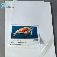 China Inkjet Printable Label Stiker Paper A4 A3 Rolls Self Adhesive Transparent PET Film Label Material For Cosmetics Pharmaceutical Food Industrial for sale