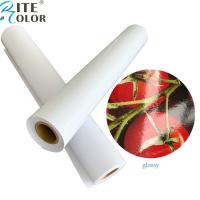 China Primed 24