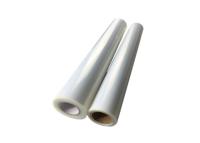 China Aqueous Ink Inkjet Screen Printing Film Transparency Graphic Film For Art Printing for sale