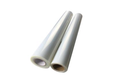 China Aqueous Ink Inkjet Screen Printing Film Transparency Graphic Film For Art Printing for sale
