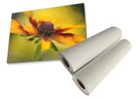 China Poly Cotton Canvas Roll Anti Cracking 360gsm Digital Inkjet Aqueous Printing for sale