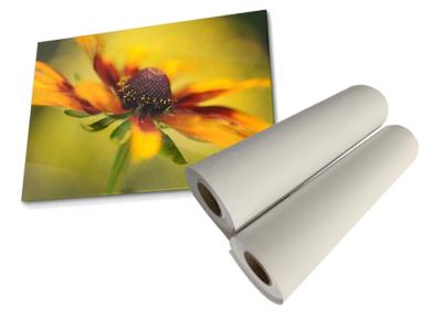 China Poly Cotton Canvas Roll Anti Cracking 360gsm Digital Inkjet Aqueous Printing for sale