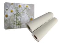 China Large Format Inkjet Texture Polyester Canvas Roll For Aqueous Pigment for sale