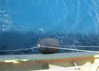 China Premium Quality Commercial Dock Fenders , Yokohama Fender Less Reverse Impact for sale