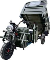 China 1000W Electric Tricycles Cargo Truck Self-discharging 3 Wheel Motorcycle for Adult for sale