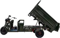 China 1000W Electric Tricycles Cargo Truck Self-discharging 3 Wheel Motorcycle for Adult for sale