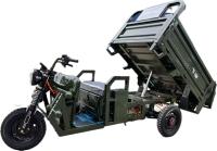 China 1000W Electric Tricycles Cargo Truck Self-discharging 3 Wheel Motorcycle for Adult for sale