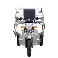 China Max Speed 20km/h 801-1000W Electric Tricycle for Adult Agricultural Load Cargo Transport for sale