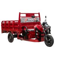 China High Power Electric Tricycle for Household Cargo Bike Truck Load Climbing Vehicle for sale
