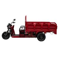 China High Power Electric Tricycle for Household Cargo Bike Truck Load Climbing Vehicle for sale