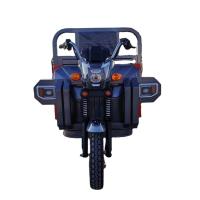 China Performance Electric Tricycle Motorcycle with 1200W Power and Self-discharging Feature for sale