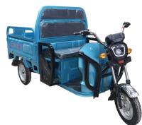 China 200kg Payload Capacity Electric Tricycle Truck for Adult Household and Transportation for sale