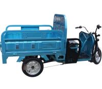 China 200kg Payload Capacity Electric Tricycle Truck for Adult Household and Transportation for sale