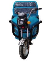 China 200kg Payload Capacity Electric Tricycle Truck for Adult Household and Transportation for sale