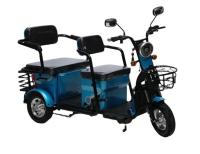 China Family Truck Electric Tricycle for Elderly 200-300kg Payload Capacity Open Body Type for sale