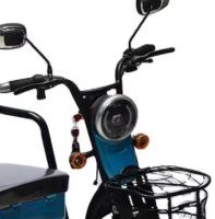 China Family Truck Electric Tricycle for Elderly 200-300kg Payload Capacity Open Body Type for sale