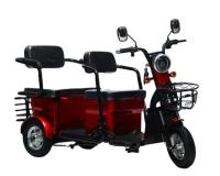 China Family Truck Electric Tricycle for Elderly 200-300kg Payload Capacity Open Body Type for sale