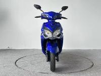 China Max Load 200kg 500W/1000W/1500W/2000W Brushless Motor Electric Scooter for Adults for sale