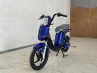 China Customerized LCD Display Electric Bicycle with Simple Power-Assisted Functionality for sale