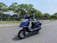 China Electric Bikes Max. Speed 40-60km/h Motor Power 500W/1000W/1500W/2000W Brushless Motor for sale