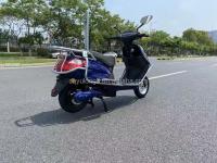 China Electric Bikes Max. Speed 40-60km/h Motor Power 500W/1000W/1500W/2000W Brushless Motor for sale