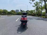 China Electric Bikes Max. Speed 40-60km/h Motor Power 500W/1000W/1500W/2000W Brushless Motor for sale