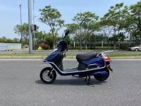 China Electric Bikes Max. Speed 40-60km/h Motor Power 500W/1000W/1500W/2000W Brushless Motor for sale