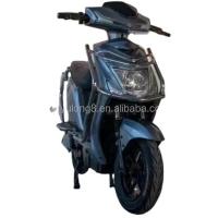 China 500W/1000W/1500W/2000W Brushless Motor Electric Dirt Bike for Off-Road Adventures for sale