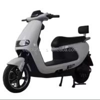 China Experience the Power and Speed of Our 1500W/2000W Electric Dirt Bike for Adult Riders for sale