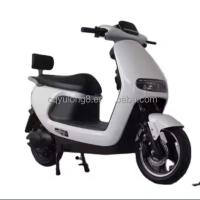 China Experience the Power and Speed of Our 1500W/2000W Electric Dirt Bike for Adult Riders for sale