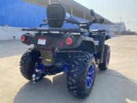 China 10 Inch Tire Size Professional Jungle Edition Dune Buggy for Petrol Sports ATV Racing for sale