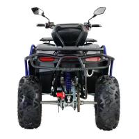 China 10 Inch Tire Size 110cc or 125cc ATVs Four Wheelers for Adults at Maximum Speed 50-75Km/h for sale