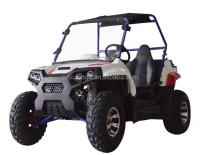 China Farm Electric UTV 60v 3000w with 200-300kg Payload Capacity and 5-7h Charge Time for sale