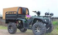 China Off-Road 250cc Farm Quad Bike with Automatic Transmission and 60V Battery for sale