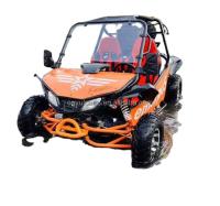 China 300cc Petrol Kart Racing Dirt Bike Off Road Vehicle 4x4 for Adult Curb Weight 100-200kg for sale