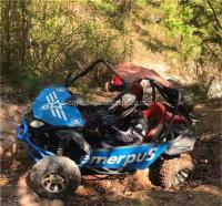China 300cc Petrol Kart Racing Dirt Bike Off Road Vehicle 4x4 for Adult Curb Weight 100-200kg for sale