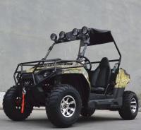 China Experience the Thrill of the Outdoors with Our 200cc 4x4 Two Seater UTV Mountain Bike for sale