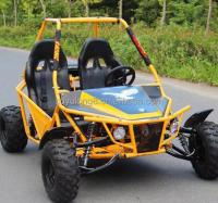 China Experience the Power and Performance of this 4 Stroke 2 Seater Off-Road Dune Buggy for sale