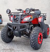 China EEC Spy Racing Atv 200cc 250cc 4x4 UTV Off Road Four Wheel Farm Motor for Your for sale