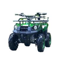 China Electric ATV 800w Mini Quad Bike for Adults and Kids Small Off-Road Outdoor Sports Car for sale