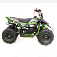 China 500W Electric ATV Tricycle Motorcycle Front and Rear Disc Brake System for Passenger for sale
